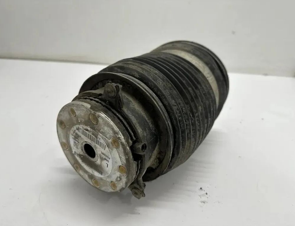 MERCEDES-BENZ E-Class W124 (1984-1997) Rear Left Air Suspension Cushion ...